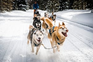 Winter Activities in Keystone - Rocky Mountain Travel